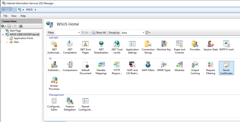 Install WSUS Server